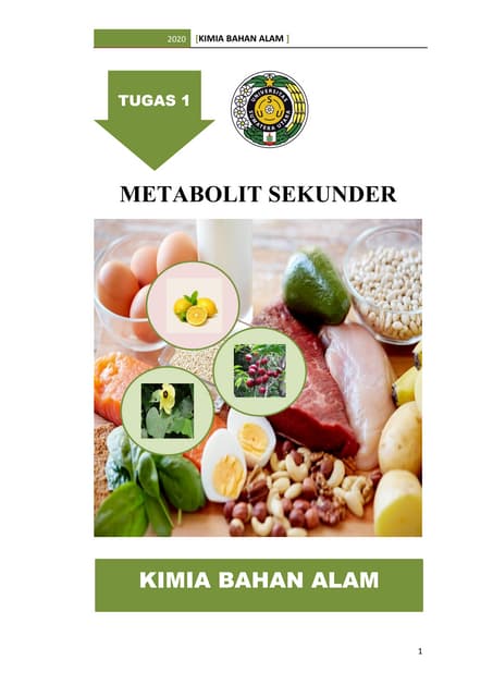 power point fitokimia metabolit sekunder.pptx