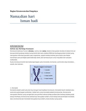 Dasar Geetika Kromosom, Lokus, Gen Alel.pptx
