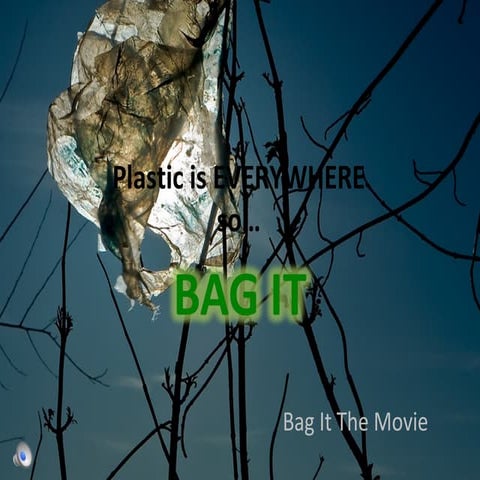 Bag It! | PPT