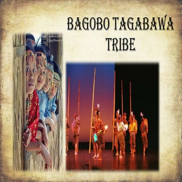 BAGOBO TAGABAWA TRIBE presentation-2.pptx
