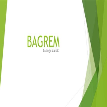 BAGREM.pptx wdadawdawdawdawddawdawdawdawd | PPTX
