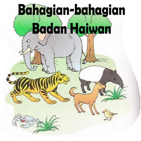 Bahagian bahagian badan haiwan | PPT