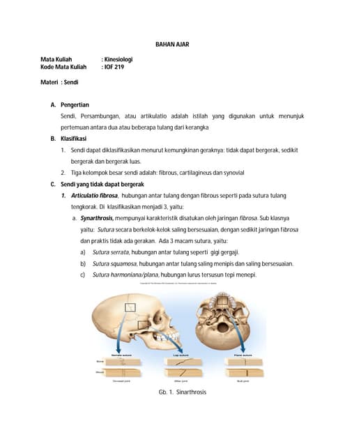 MATERI IPAS SENDI DAN RANGKA KELAS 6.pptx