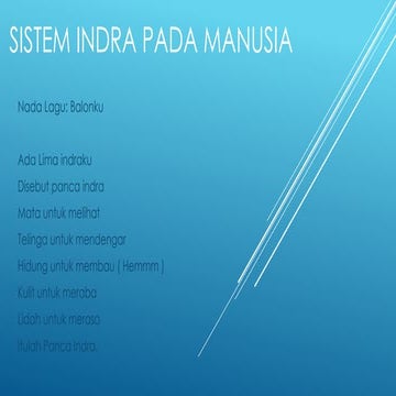 Materi ipa kelas 4 semester 1 panca indra | PPTX