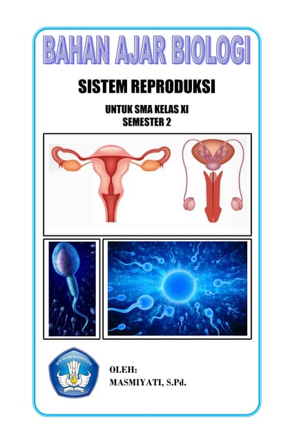 Alat reproduksi pada pria dan fungsinya | DOCX