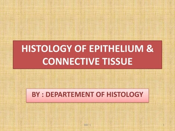 3 haines recovery position | PPTX | First Aid | Injuries