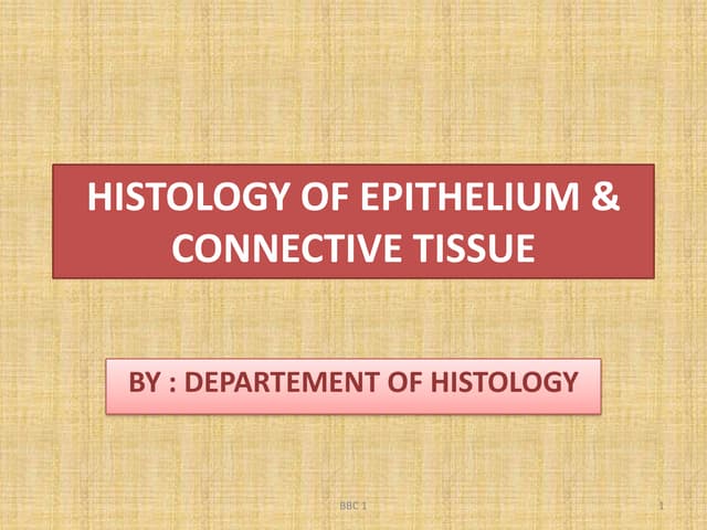 3 haines recovery position | PPTX