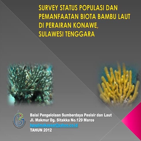 Hasil Survei Status Populasi dan Pemanfaatan Biota Bambu Laut di ...