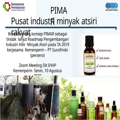 Bahan Rapat PIMAR Dir IHHP 10 Agt 2020.pptx