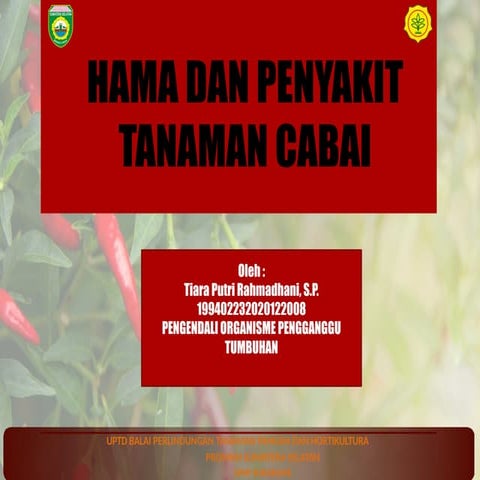 OPT Penting Pada Tanaman Hortikultura Cabai | PPTX