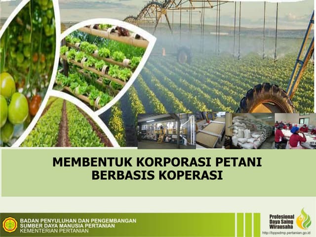 Kebijakan dan Strategi Pengembangan Korporasi Petani | PPT