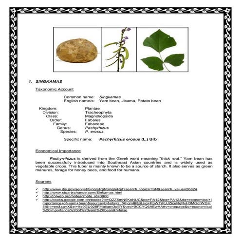 Taxonomy of "Bahay Kubo" plants | DOCX