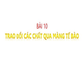 BAI 10 PHIEU HT.pptx