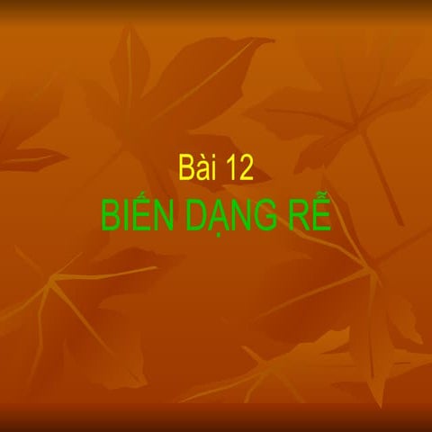 Bai 12 | PPT