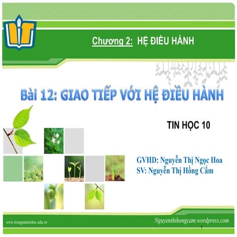 Bai 12 giaotiepvoi hđh | PPT