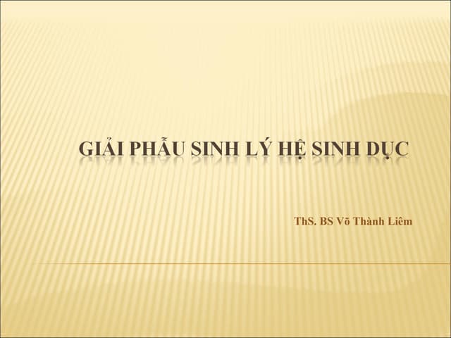 Giai phau he sinh duc | PPT