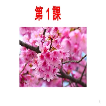 BAI 1 TIẾNG NHẬT MINNANONIHONGO STARTER NGƯỜI MỚI .pptx