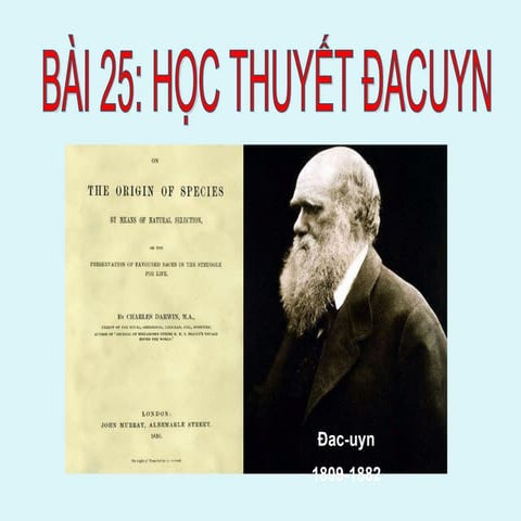 Bai 25hoc thuyet dacuyn giam tai | PPT