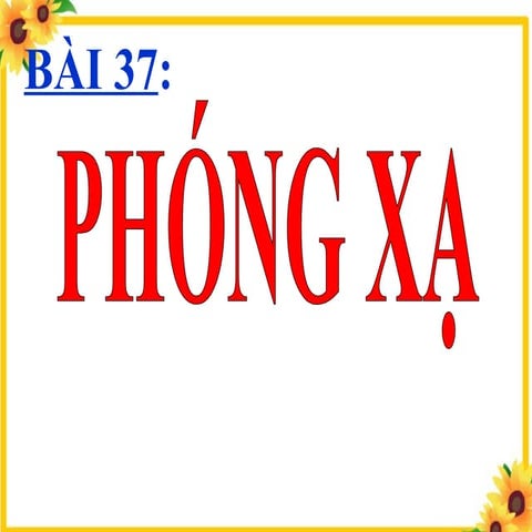 Bai 37 phong xa | PPT
