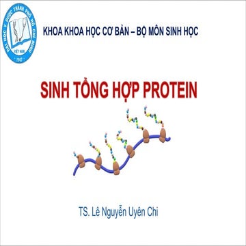 BÀI 2: PHIÊN MÃ VÀ DỊCH MÃ | PPT