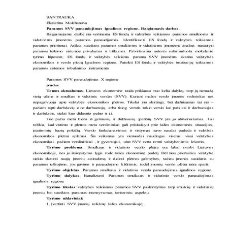 Baigiamasis darbas | PDF