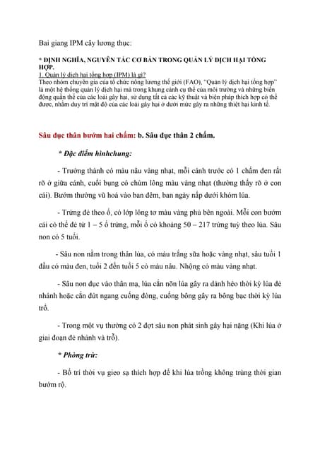 Trồng Nho Phan Rang | PDF
