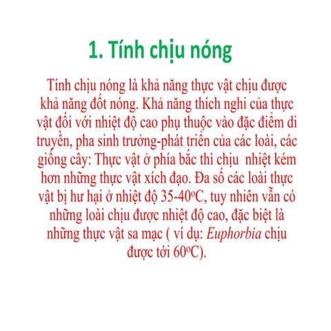 Bai linh kute | PPT