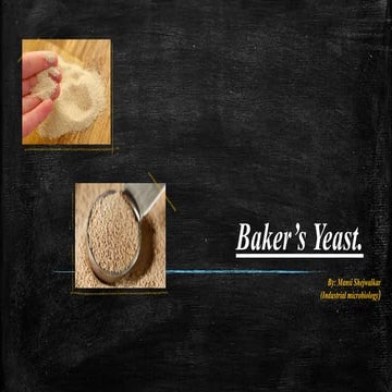 Baker’s Yeast | PPTX