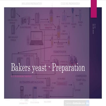 Bakers yeast preparation | PPTX