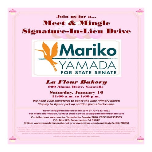 Flyer - State Senate Campaign | PDF