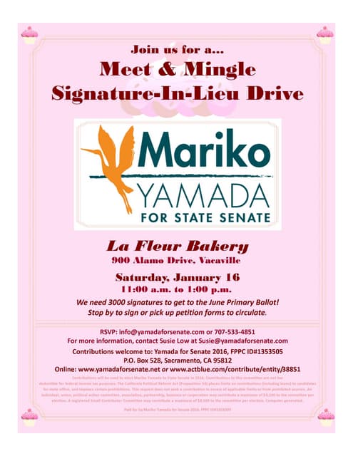 Flyer - State Senate Campaign | PDF