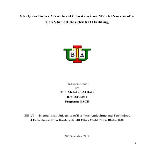 Civil Engineering Practicum Report | PDF