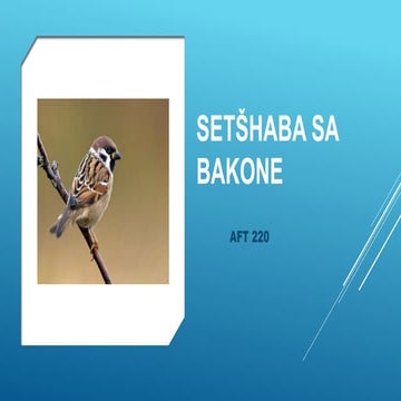 Bakone Presentation (1)..pptx