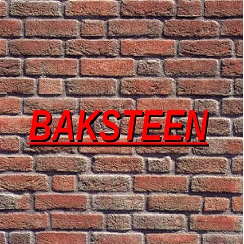Baksteen | PPT