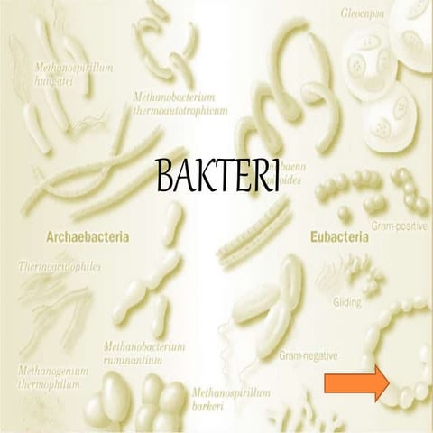bakteri.ppt