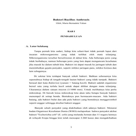 Bakteri Bacillus Anthracis | PDF