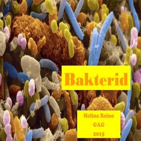 Bakterid | PPT