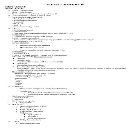 Bakteri Gram Positif (Rangkuman) | DOC