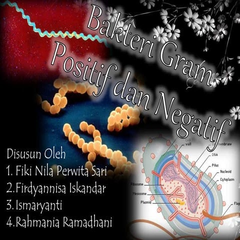 perbedaan gram positif dan gram negatif | PPTX