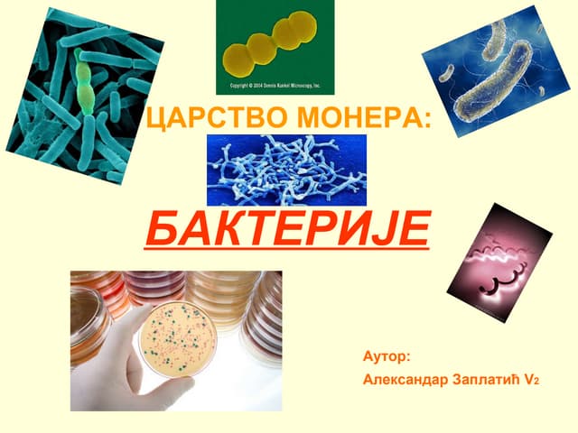 Građa ćelije - 7. razred, Dunja Ercegovčević | PPTX