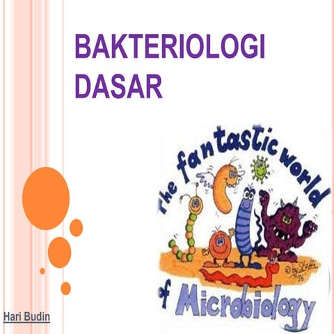 Bakteriologi dasar kuliah | PPTX