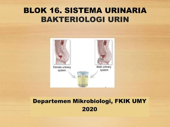 Pemasangan IVFD yang benar sesuai dengan sytandar yang di perhatikan | PPT