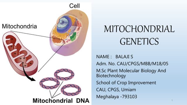 Organellar genome: chloroplast, mitochondria etc pptx | PPTX