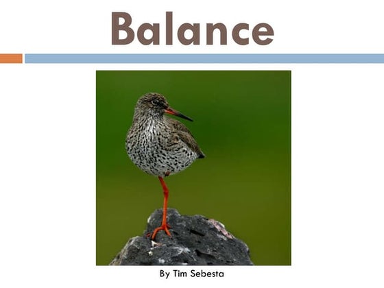 4 stage balance-test-print | PDF