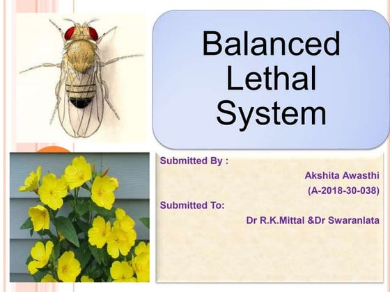 Plant Competition Experiment | PDF