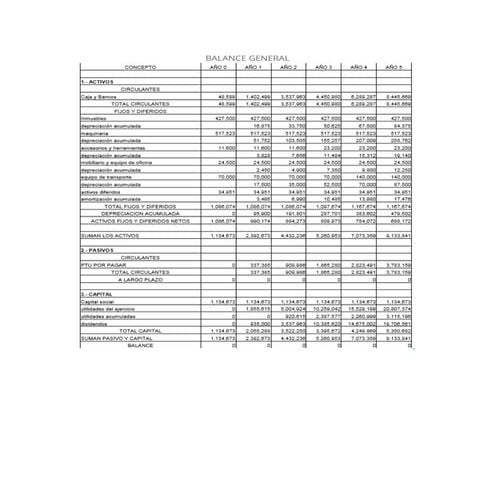 BALANCE GENERAL. ejemplos proforma.docx