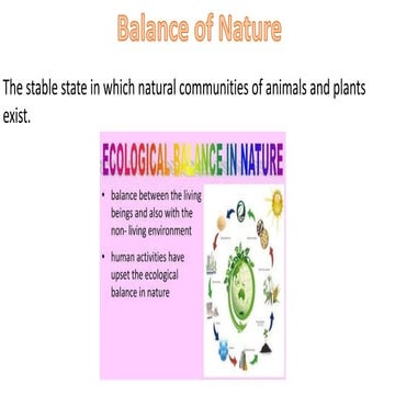 Balance of Nature - Ecosystems.pptx
