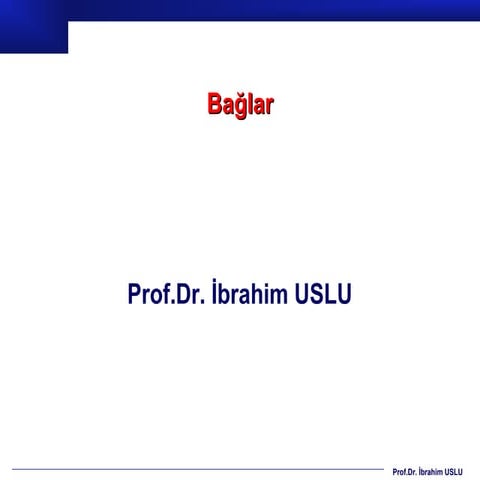 Bağlar | PPT