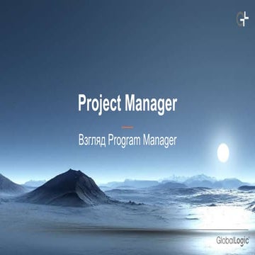 A Project Manager from a Program Manager's Perspective | PPT