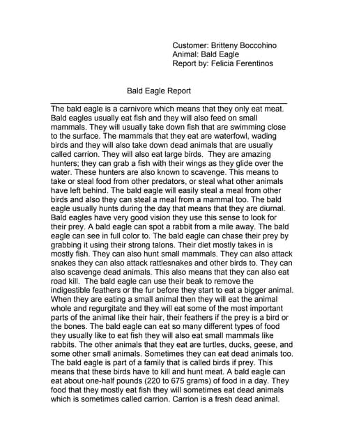 Bald eagles | PPTX | Birdwatching | Hobbies & Interests